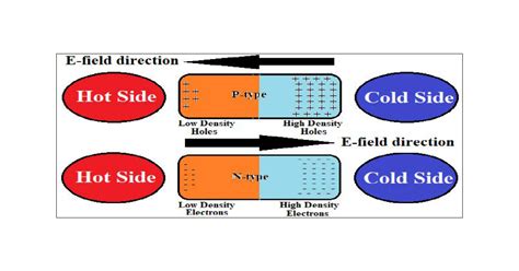 Theoretical Investigation Of Lead Perovskite Pbxo3 X Ti Zr And Hf