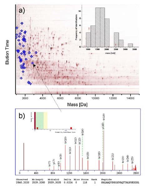 Peptide Display And Positive Identifications From Rat Insulinoma Cells