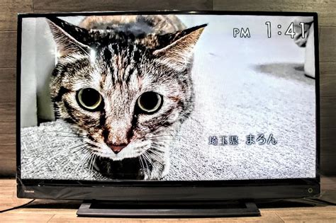 【目立った傷や汚れなし】regza 東芝 40v型地上・bs・110度csデジタル フルハイビジョンled液晶テレビ 40v31 18年製