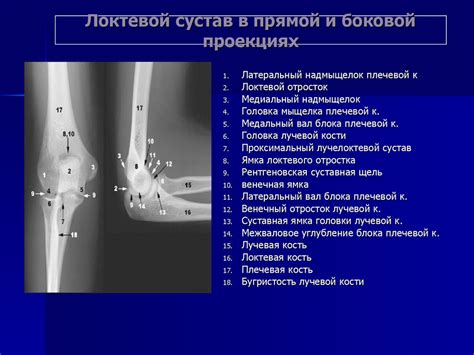 Нормальная рентгенанатомия конечностей и суставов Диагностика