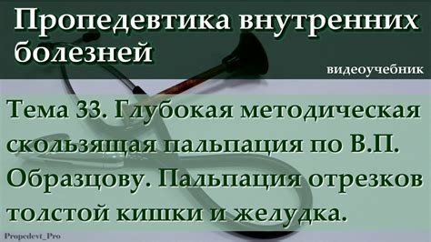 Тема 33 Глубокая пальпация живота пальпация отрезков толстой кишки и