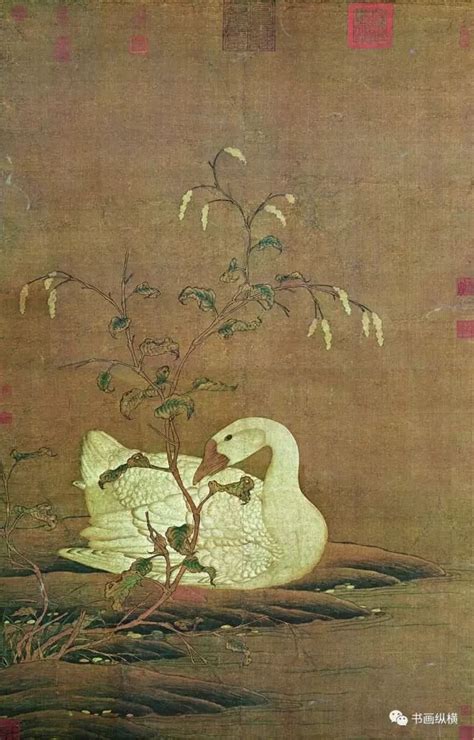 宋代花鳥趙佶繪畫精品50幅 壹讀