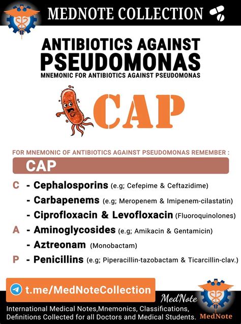 Antibiotics Against Pseudomonas Aeruginosa Nursing School Notes