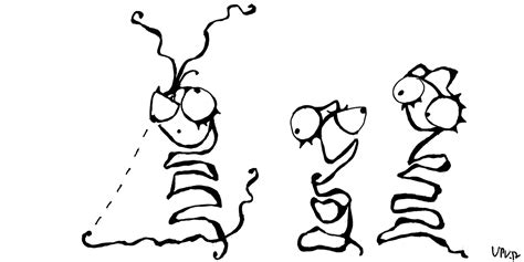 Drawings Feminist Gooseneck Barnacles • Veronica Perez Karleson