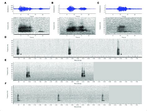 Sound Spectrograms And Waveforms Illustrating Similarities Of Song