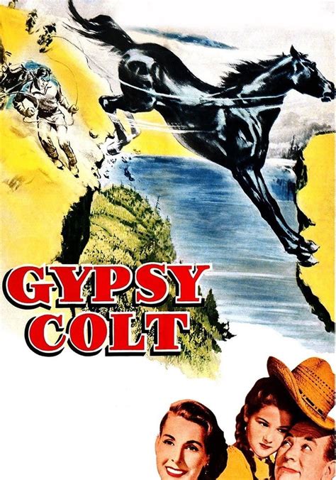 Gypsy Colt Streaming Where To Watch Movie Online