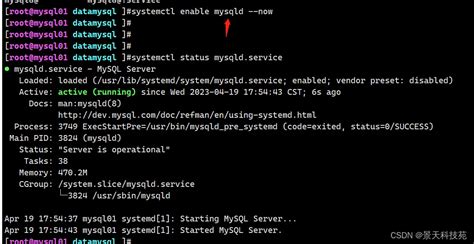 linux安装mysql8 0，密码修改权限配置等常规操作详解 阿里云开发者社区