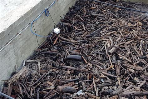 Rht Sensore Umidità Suolo