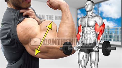 Best Bicep And Tricep Workout For Big Arms Youtube