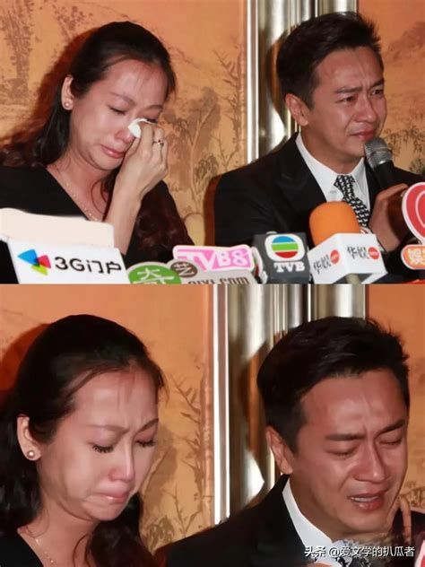 孕期出軌，蔣麗莎為啥原諒陳浩民？ 資訊咖