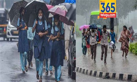 తమిళనాడు వర్షం తమిళనాడు భారీ వర్షంల కారణంగా జిల్లాల్లో పాఠశాలలకు