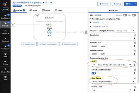 Sql Database Insert Documentation