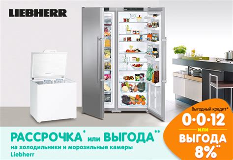 Рассрочка или выгода! Холодильники и морозильники Liebherr | Акции DNS ...