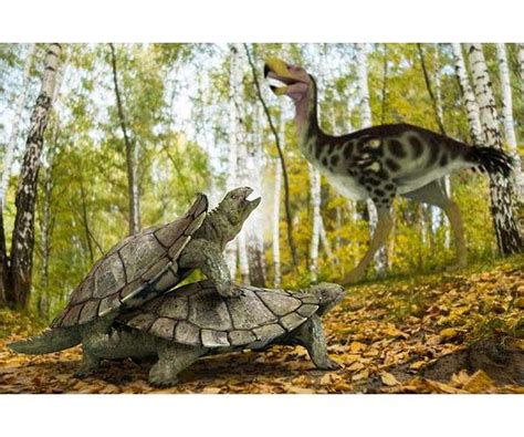 Extinct South American Giant Turtle Had 10 Foot Wide Horned Shell
