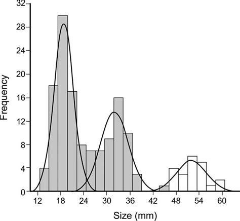 Histogram Of The Size Frequency Distribution Of Echinocardium Cordatum