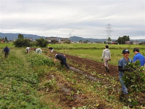 ワイワイ学園「親子でサツマイモ掘り」を開催しました 高瀬西地域づくり協議会