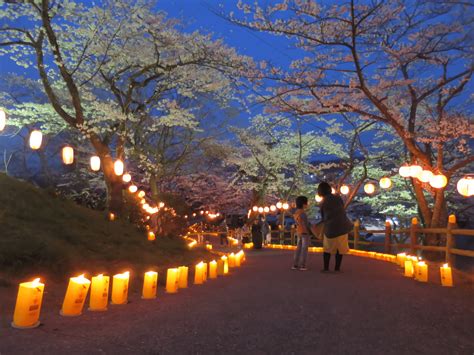 さくらまつりライトアップ｜東北の観光スポットを探す 旅東北 東北の観光・旅行情報サイト