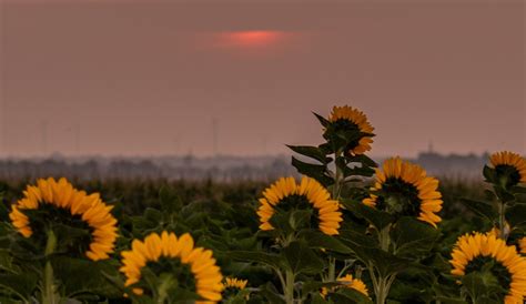 Twickel We Have A Good News For You 🌻💖 Summertime Is Here ☀️ This April We Are Bringing You