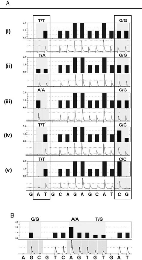 exon 5 sequence predicted histograms and pyrograms download