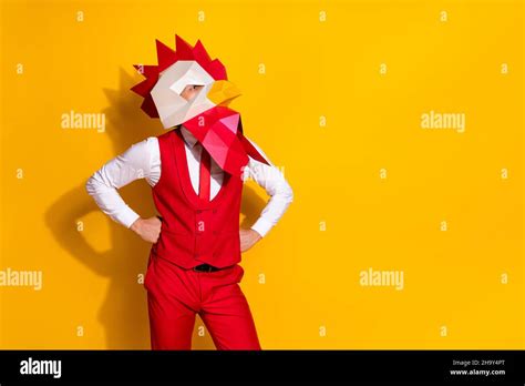 Photo Of Successful Cocky Guy Hands Hips Look Camera Wear Rooster Mask