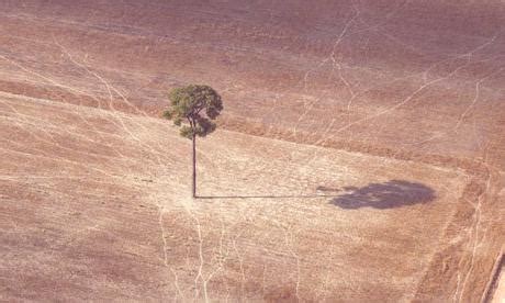 Como Afecta El Cambio Climatico A La Biodiversidad Erenovable