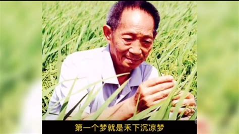 袁隆平我有两个梦禾下乘凉杂交水稻覆盖全球 高清1080P在线观看平台 腾讯视频