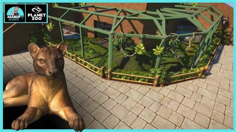 Fantastic Fossa Habitat Build In Planet Zoo Youtube