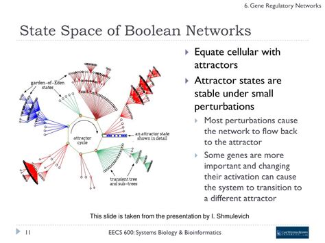 Ppt 6 Gene Regulatory Networks Powerpoint Presentation Free