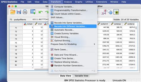 Spss Tutorial 2 Data Manipulation In Spss Resourceful Scholars Hub