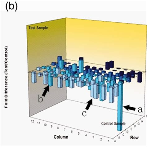 Results Of Pcr Array Analysis Of Gene Expression In The Participants