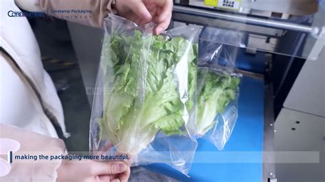 Vegetable And Fruit Nitrogen Packaging Machine Slitting Coil