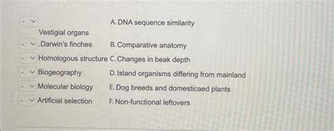 Solved Evolution Evidence D Biogeography E Molecular B