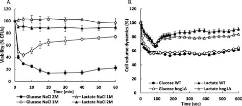 The Initial Events During Osmoadaptation Are Critical For Cell