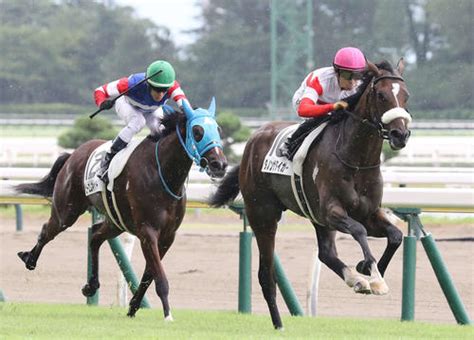 2・7億円馬ダノンザタイガー、2戦目で初勝利 川田騎手「初戦より内容ある競馬」／新潟2r 2歳馬特集 競馬 日刊スポーツ