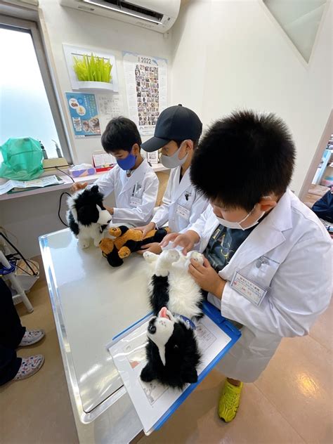 夏の獣医師体験教室開催報告。 医院ブログ 越谷どうぶつ病院 犬・猫・ウサギ・小動物の病院