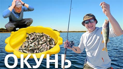 Попали на хороший осенний клёв окуня на Чудском озере Ловля на гирлянду в отвес Обзор снасти