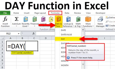 How To Use Day Function In Excel Riset