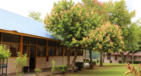 SEKOLAH JENIS KEBANGSAAN CINA YONG PENG 1 Sekolah2u