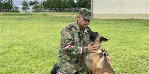 La Posible Y Trágica Razón Por La Que No Aparece El Perro Wilson