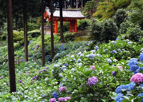 三室戸寺 西国三十三ヶ所 十番札所 お遍路ツアー