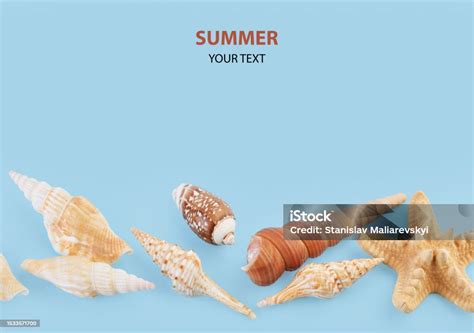 조개껍데기와 불가사리가 파란 배경에 있다 텍스트를 위한 장소가 있는 여름 배경입니다 바다 테마입니다 가리비에 대한 스톡 사진 및