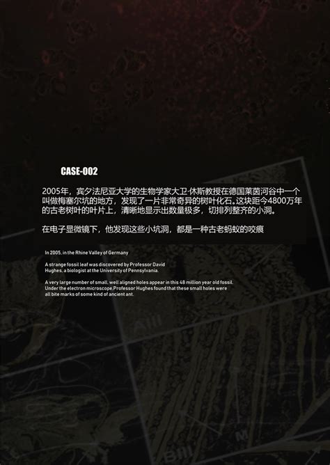 Bird Binary Drawn By Las Danbooru