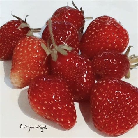 Virginia Wright Wrightvirginia • Instagram Photos And Videos