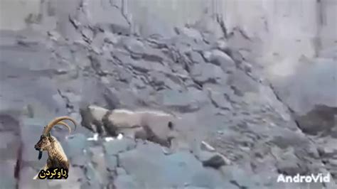 ڕوداوێکی کاریگەر 😳 پێویستە هەموو کەسێک و ڕاوچییەک گوێبیستی بێت ئازیزانت