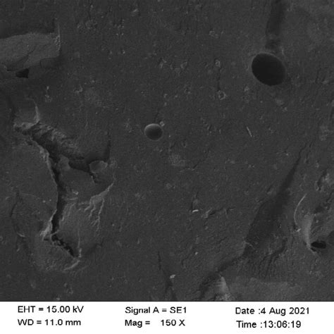 Sem Image Of The Pure Polyester Composite Experiment 5 Download Scientific Diagram