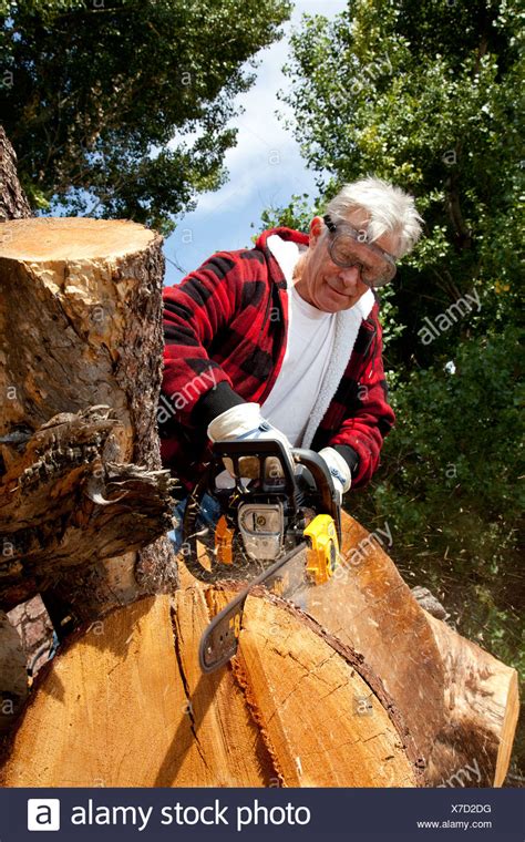 Man Cutting Tree High Resolution Stock Photography And Images Alamy