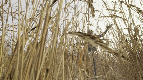 Critique On Portfolio — Polycount Critique On Portfolio — Polycount