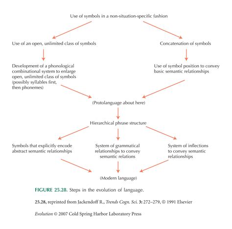 Evolution Figures Chapter 25