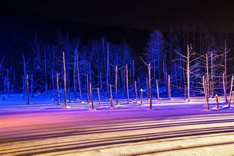 凍てつく夜に光の魔法をかける！雪のライトアップ絶景スポット5選｜zekkei Japan