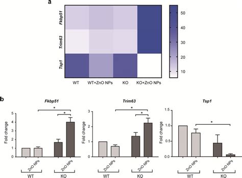 Gene Expression Associated With Melanoma In The Skin Of Epidermal